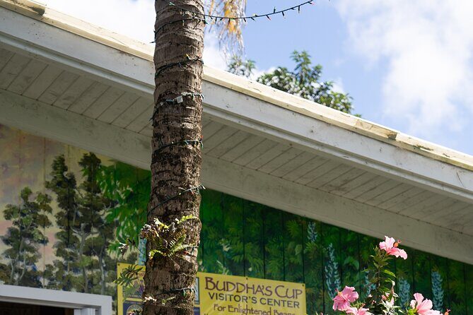 Express Kona Farms ATV Adventure Tour 30 Minute Excursion - The Practicalities: What You Need to Know