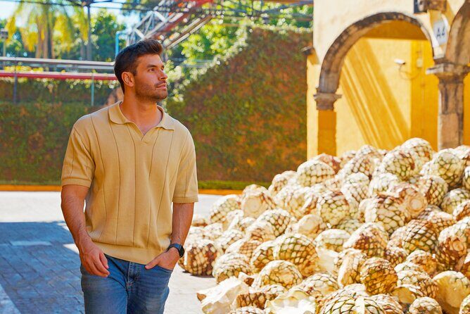 Express Sunset - A Detailed Look at the Tour Experience