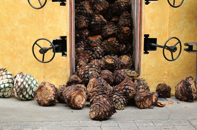 Express Sunset - Additional Resources