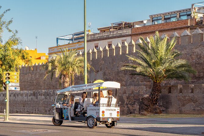 Express Tour of Seville in Private Eco Tuk Tuk - In-Depth Look at the Itinerary