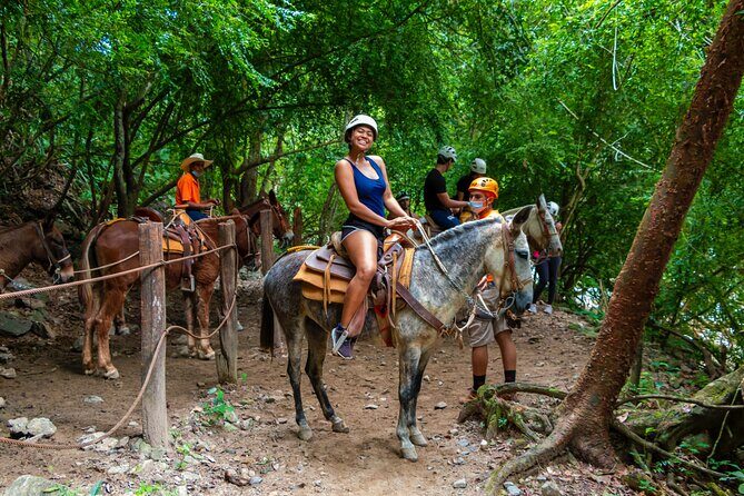 Express zips + Longest suspension bridge, ideal cruisers - Transportation and Group Size