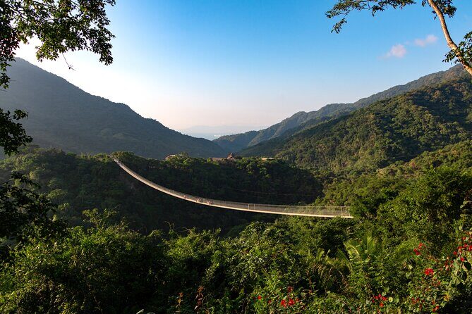 Express zips + Longest suspension bridge, ideal cruisers - Authenticity and Family-Friendliness