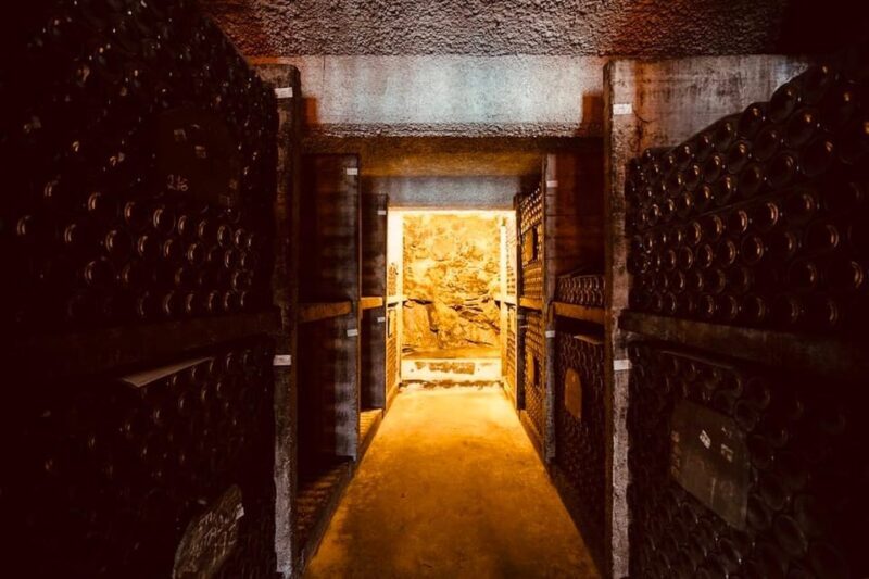 Exquisite and private premium tour to Burmester Cellars - Practicalities and Logistics