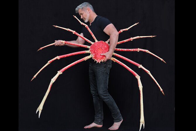 Exquisite Creatures Exhibit By Christopher Marley - The Sum Up