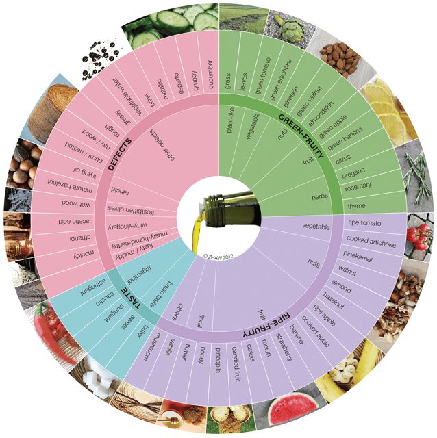 Extra Virgin Olive Oil Experience with Wine & Herbs - Introduction