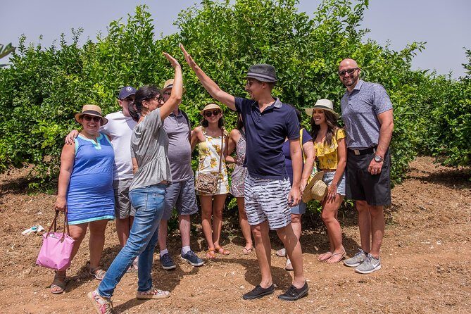 Extra virgin olive oil tasting in Syracuse - fairytale tour - FAQs