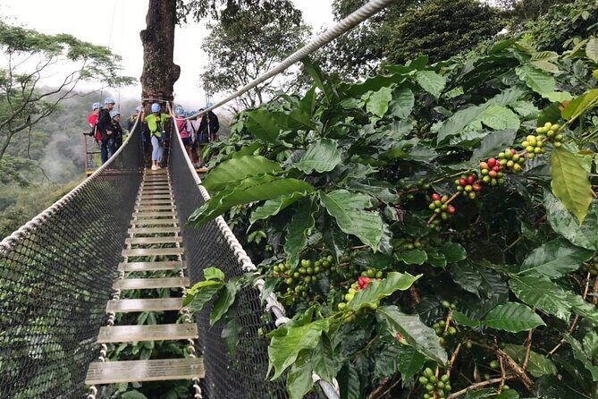 Extream Zipline @ Kingkong Smile and Dip in Hot Spring - Who Should Consider This Tour?