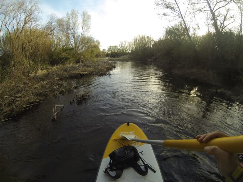 Extremadura: Paddle Surf Guided Tour on Valdecañas Reservoir - Who Will Love This Tour?