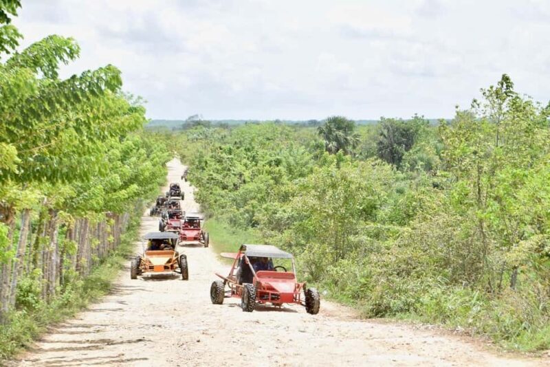 Extreme Dune Buggy Adventure in Macao Beach & Cenote - Authentic Insights from Past Travelers