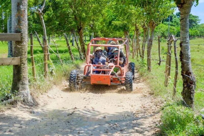 Extreme Dune Buggy Adventure in Macao Beach & Cenote - FAQ