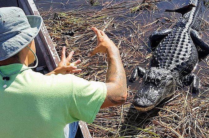 Extreme Everglades: Crocodiles and Adventure from Miami - Frequently Asked Questions