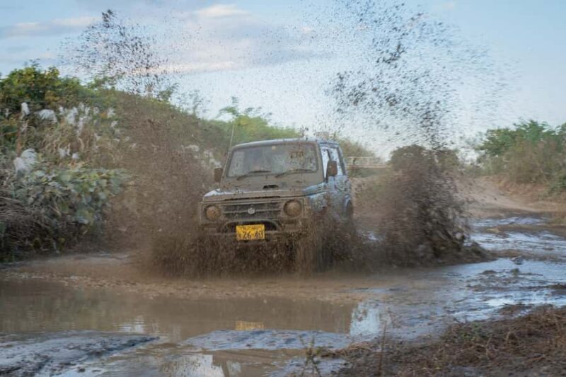 Extreme Jimny Off-Road Ride: Dirt, Forest & Rock near Tokyo - Practical Details