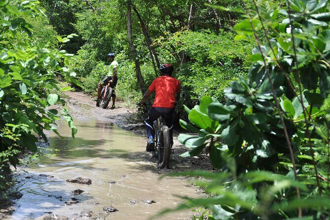 Extreme Outback Tour in St Lucia - Why This Tour Might Be Perfect for You