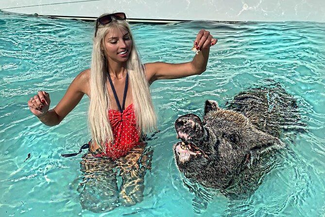 Exuma Day Away - Original Swimming Pigs Excursion - The Itinerary Breakdown: What to Expect