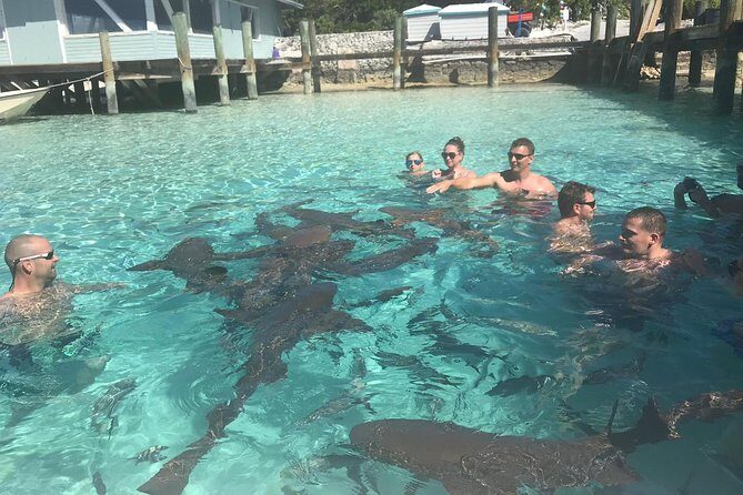 Exuma Day Away - Original Swimming Pigs Excursion - Food, Drinks, and Comfort
