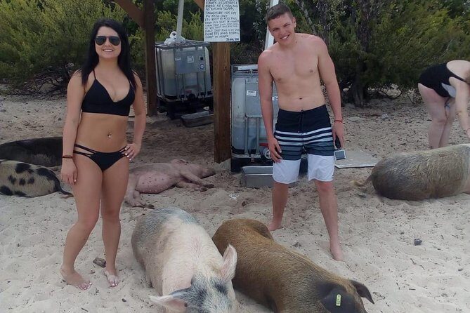 Exuma Day Away - Original Swimming Pigs Excursion - Considerations and Practicalities