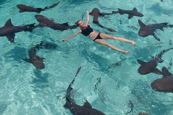 Exuma Day Away - Original Swimming Pigs Excursion - Final Thoughts: Is This Tour for You?