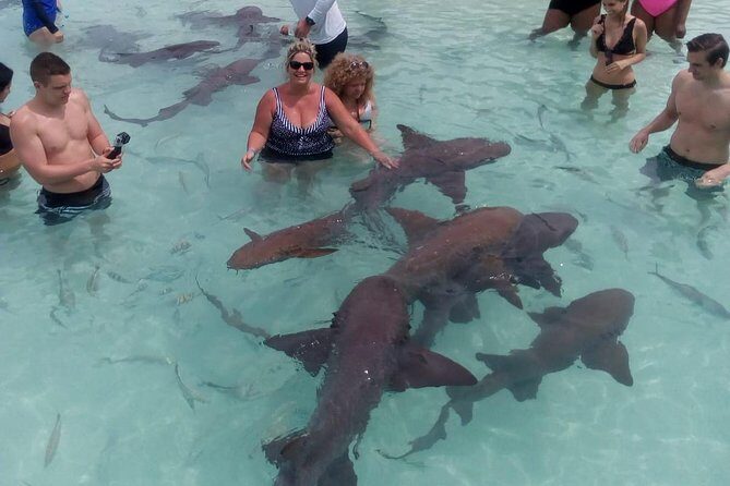 Exuma Day Away - Original Swimming Pigs Excursion - FAQ