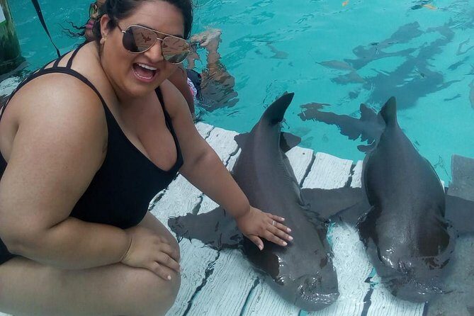 Exuma Day Away - Original Swimming Pigs Excursion - In The Sum Up