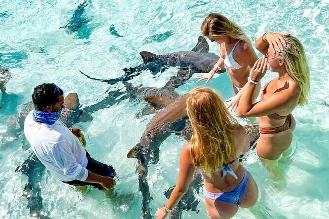 Exuma Full Day Swimming Pigs Group Boat Tour - A Complete Look at the Exuma Full Day Swimming Pigs Tour