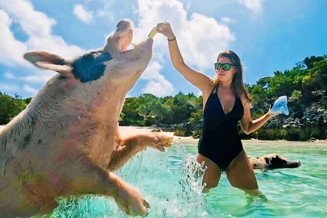 Exuma Island and Cays Tour - Discovering Great Exuma’s Best in One Day