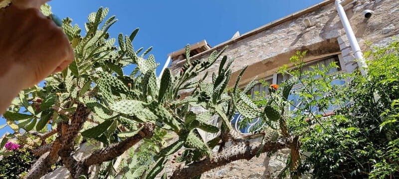 Èze: Walking Tour with a Certified Local Guide - Final Thoughts