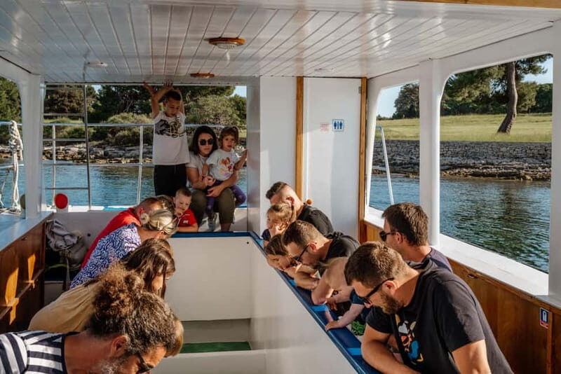 FAANA: DOLPHIN SAFARI - What the Tour Offers: A Balanced Overview