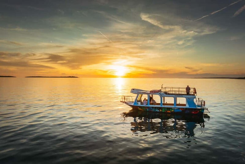 FAANA: DOLPHIN SAFARI - The Experience from Reviews