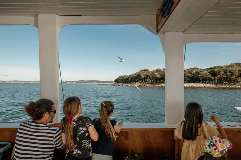 FAANA: DOLPHIN SAFARI - Value for Money