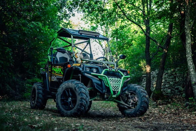Faana: Guided Buggy Tour in the Heart of Istria - Authenticity and Real-World Experience