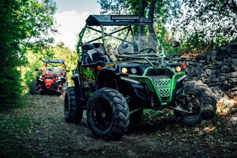 Faana: Guided Buggy Tour in the Heart of Istria - Key Points