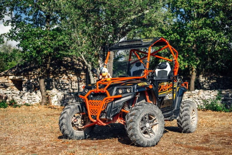 Faana: Guided Buggy Tour in the Heart of Istria - Deep Dive into the Itinerary
