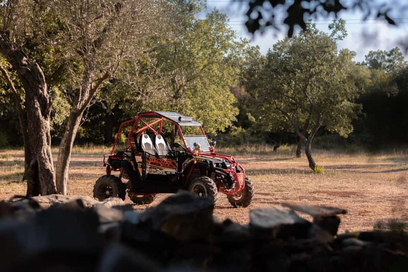 Faana: Guided Buggy Tour in the Heart of Istria - The Sum Up