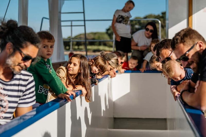 FAANA: NATIONAL PARK BRIJUNI GLASS BOAT PRIVATE TOUR - The Sum Up
