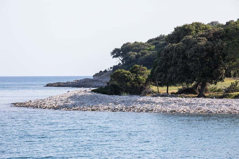 FAANA: PANORAMA NP BRIJUNI AND ISLAND JEROLIM SWIMMING STOP - The Experience in Practice