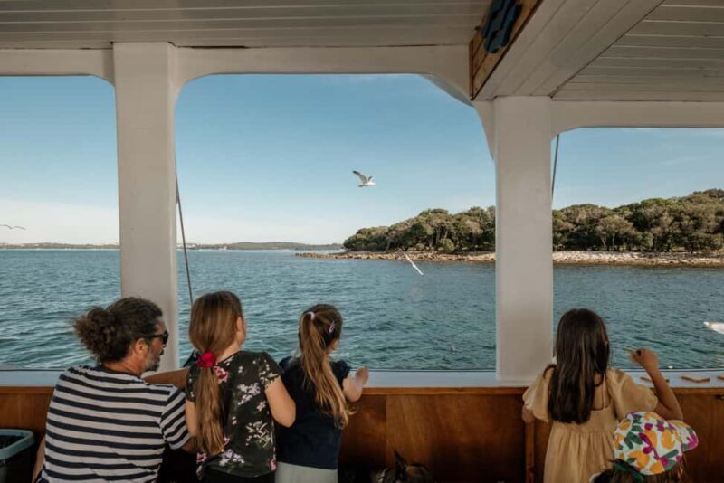 FAANA: PANORAMA NP BRIJUNI AND ISLAND SWIMMING STOP - Key Points