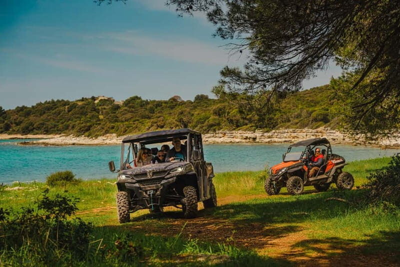 Faana/Pula: Buggy Sunset & Olive Oil Tasting Tour - Authenticity & Real-World Insights from Reviews