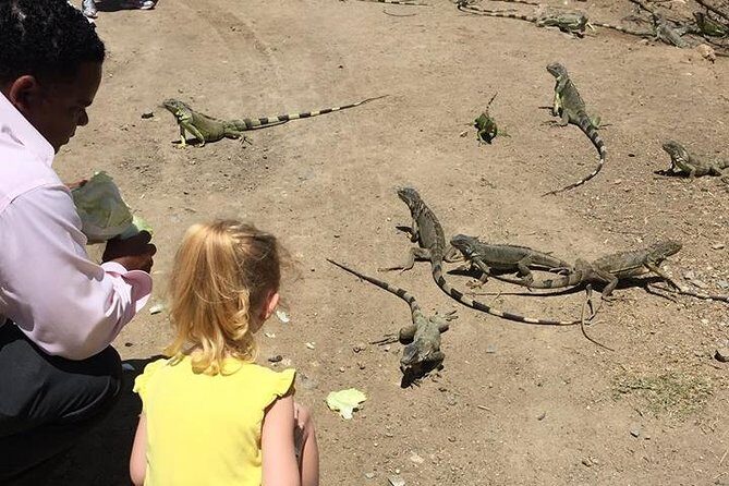 Fabulous Dutch and French Tour - FAQ