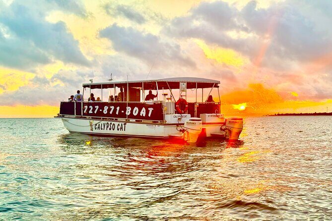 Fabulous Florida Sunset Tour Including Dolphins - A Relaxing Sunset Cruise in St. Petersburg: Dolphins, Shell Key, and Scenic Views