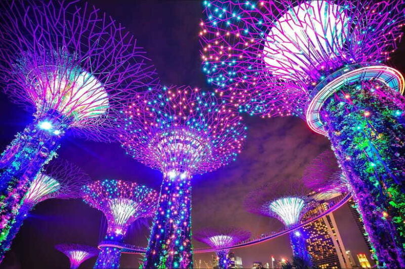 Fabulous Night-out Private Tour in Singapore - Who Will Enjoy This Tour?