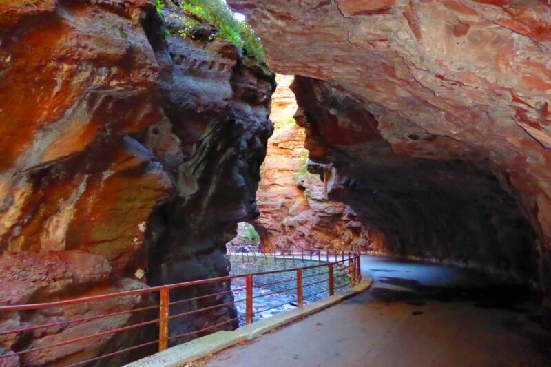 Fabulous Red Canyon and Entrevaux, Private Full day Tour - Key Points