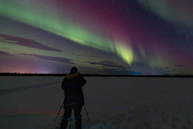 Face The Outdoors Northern Lights Tour Small Group - Real Guest Perspectives