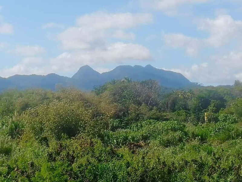 Faces Of St.Lucia. Unique Features of My Awesome Home. - Introduction