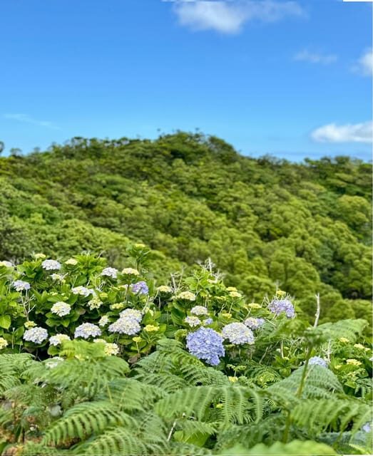 Faial Island: Caldeira Perimeter Hiking Tour - FAQ