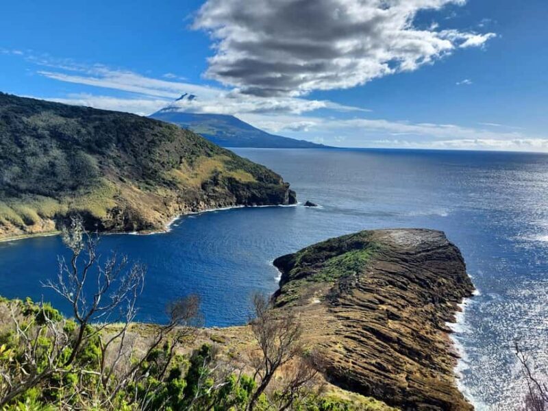 Faial Island: Full Day Tour - Nature & Culture - Final Thoughts: Is It Worth It?