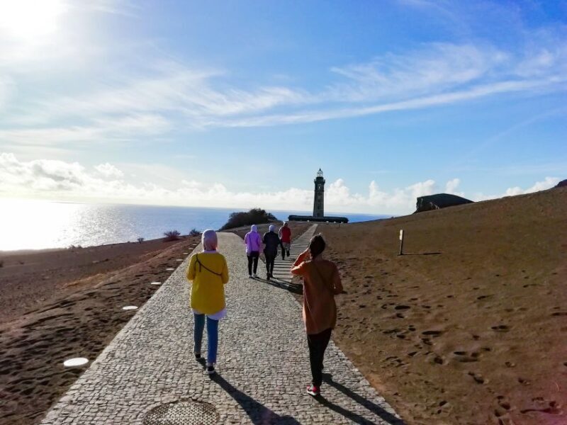 Faial Island: Half-Day Tour  Nature Highlights - What to Expect and How It’s Organized