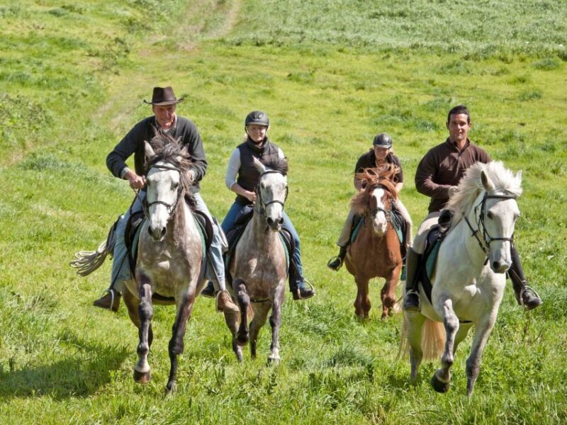 Faial Island: Horseback Riding (3 hrs - Experienced Riders) - Introduction: Is this horseback riding tour worth your time on Faial Island?