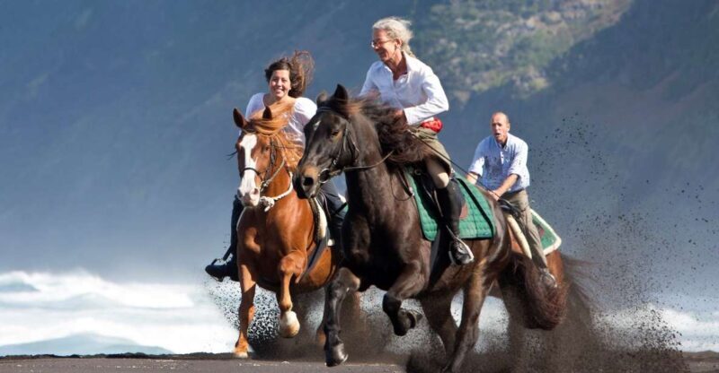 Faial Island: Horseback Riding (3 hrs - Experienced Riders) - Key Points