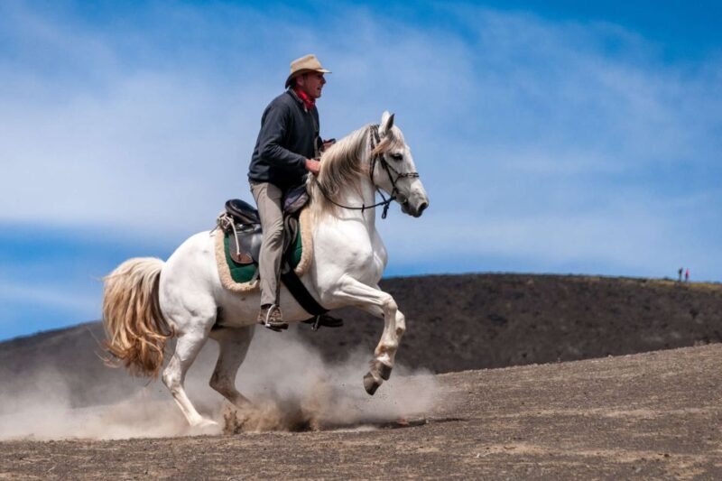 Faial Island: Horseback Riding (3 hrs - Experienced Riders) - Reviews: Authentic experiences from fellow travelers