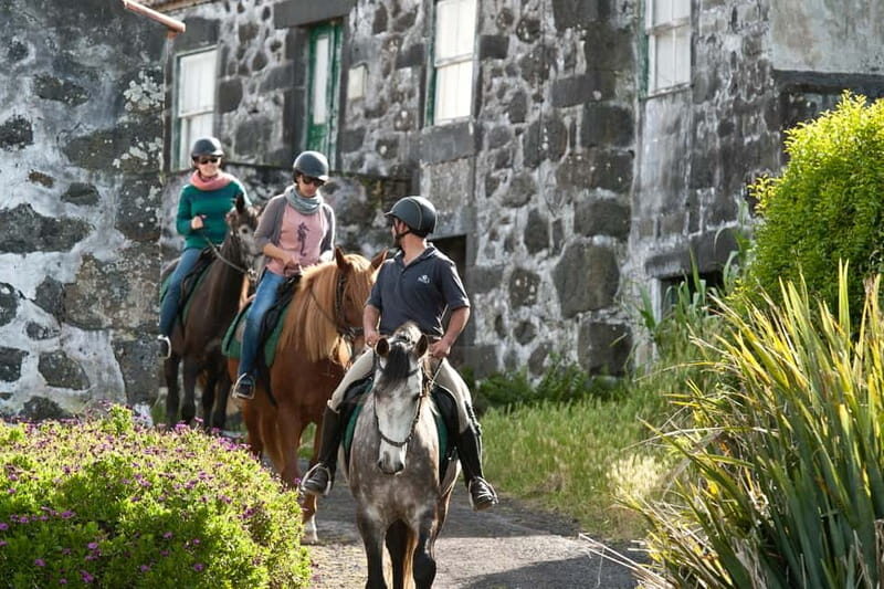 Faial Island: Horseback Riding on Lusitano Trail - The Ride Itself: What to Expect on the Lusitano Trail